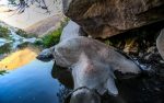 19 Natural Hot Springs in Nevada - Flavorverse