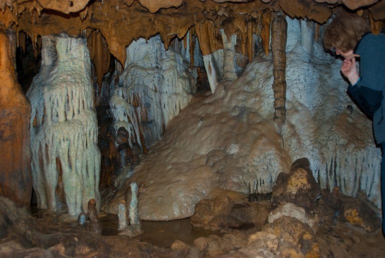 12 Prominent Caves in Florida to Visit - Flavorverse