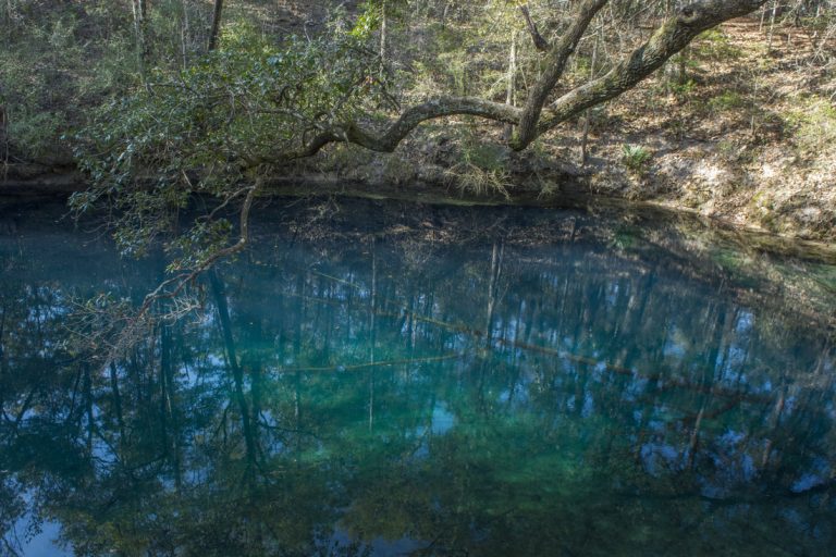 12 Prominent Caves in Florida to Visit - Flavorverse