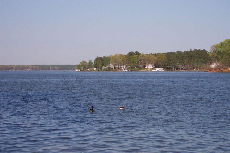 13 Best Lakes in Virginia to Swim, Fish or Just Unwind - Flavorverse