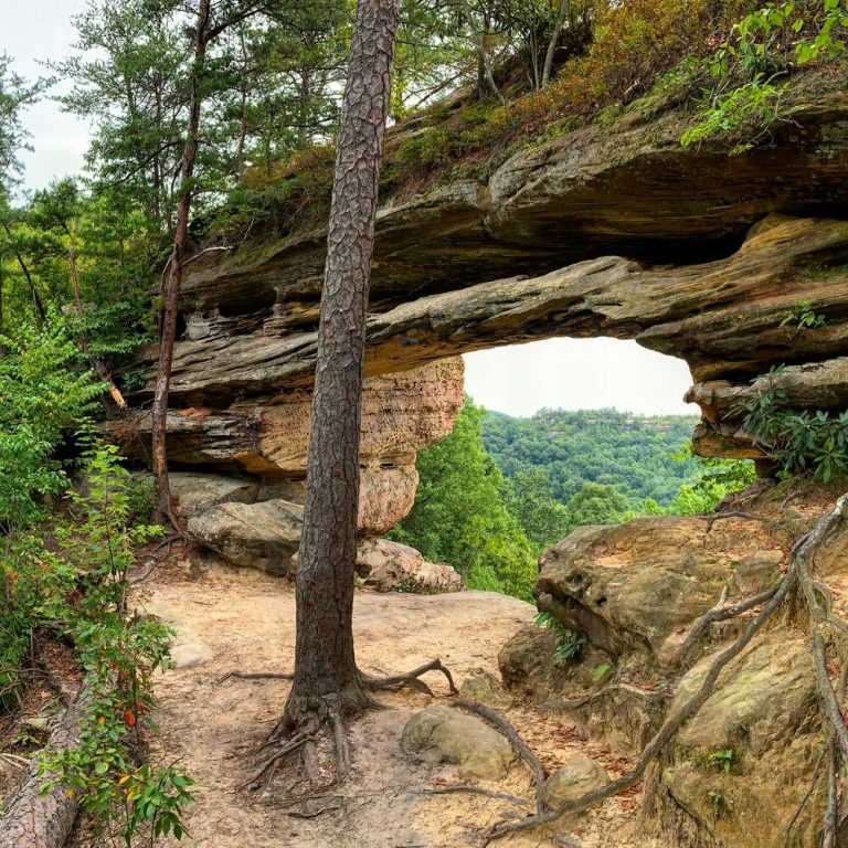 17 of the Best Hiking Trails in Kentucky