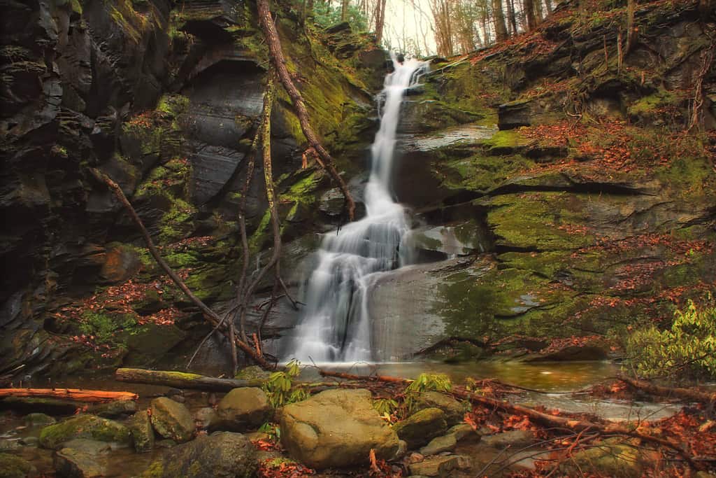 18 of the Best Waterfalls in New Jersey